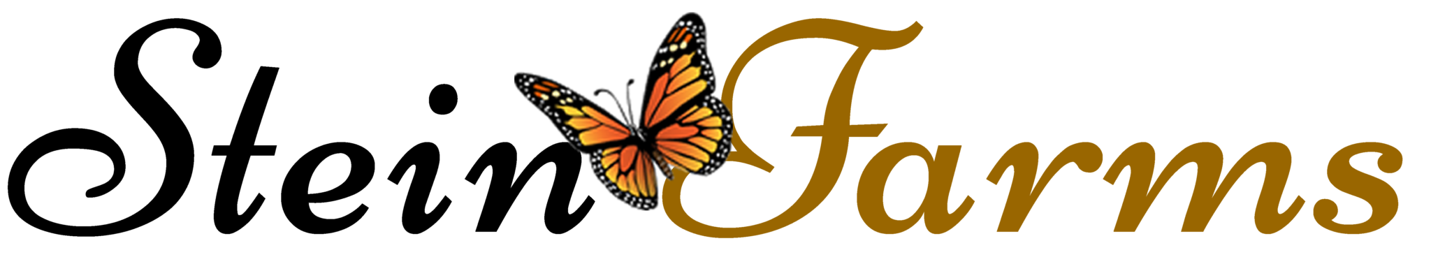 Stein Farms: Your Destination for Barn Wedding Venue and More